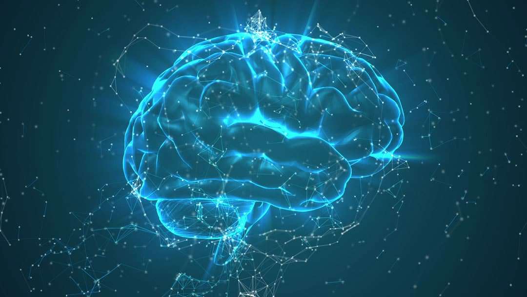 Olhar Fotográfico: Como Aprimorar O Seu - Jornada da Foto